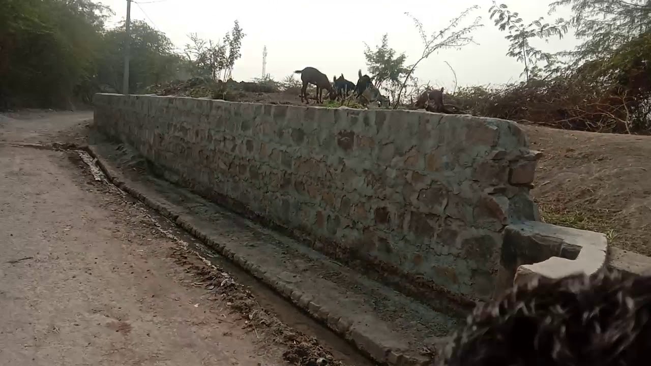 Puliya nirman - YouTube