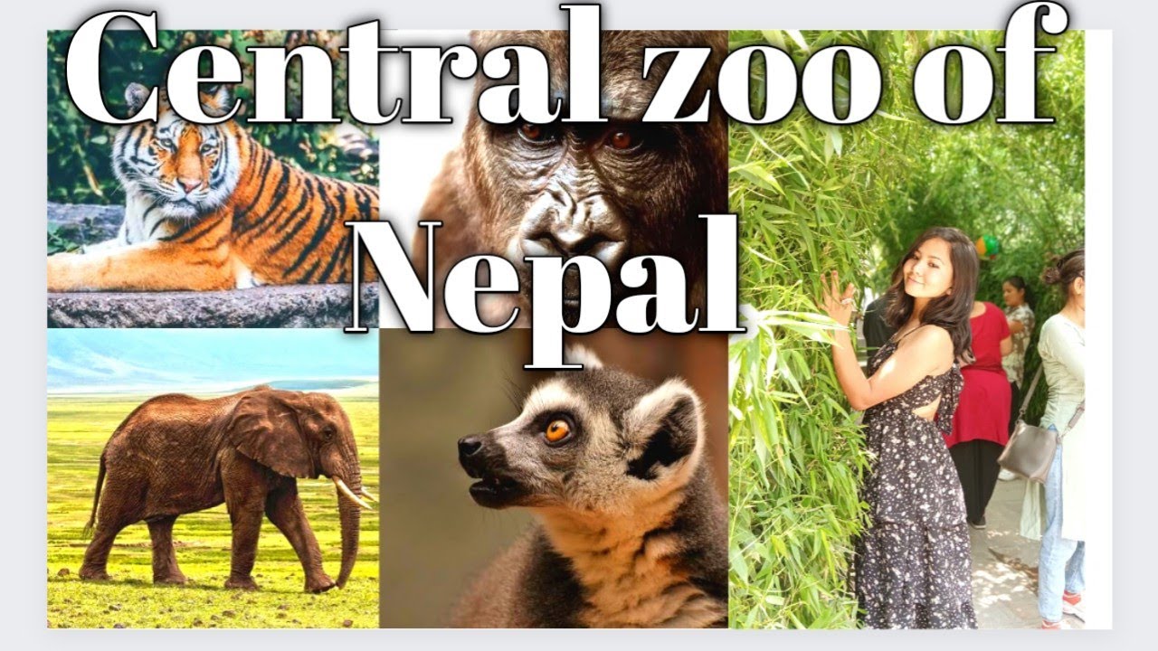 Central zoo of Nepal /Walking Tour /Funny Moments (Travel vlog) - YouTube