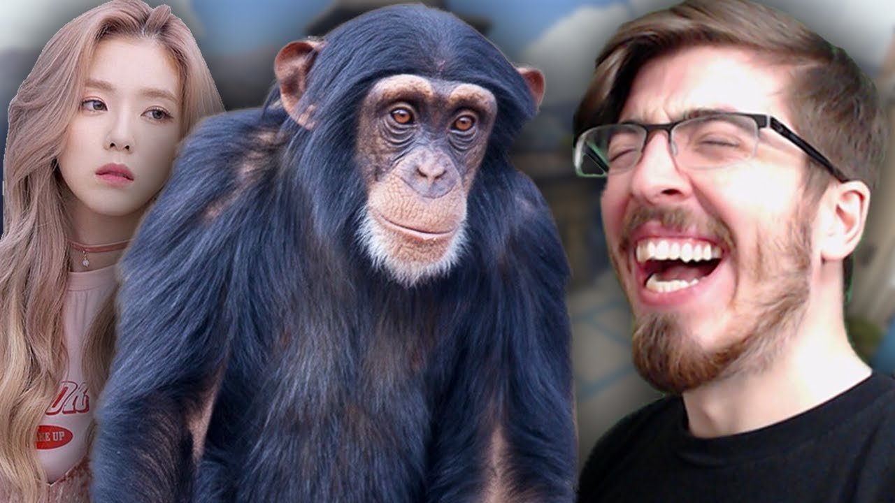 Overwatch: The Story of MONKE - YouTube