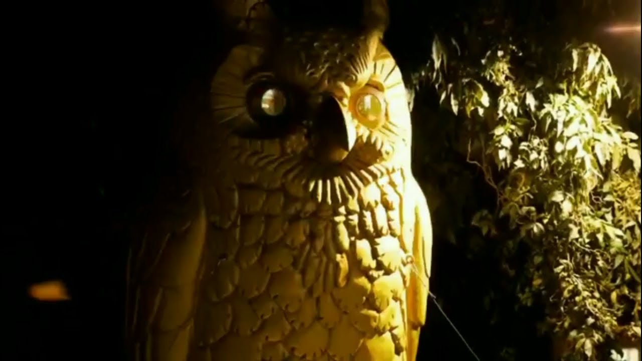 [adult swim] - Sign Off (2014 - March 2019) - YouTube