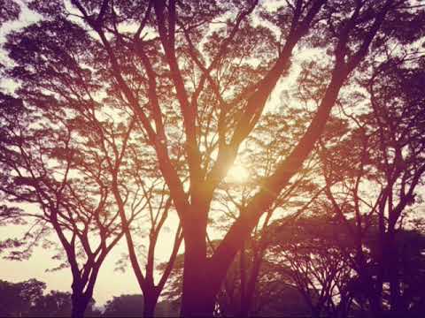 Snap wa Arabic trap Joker