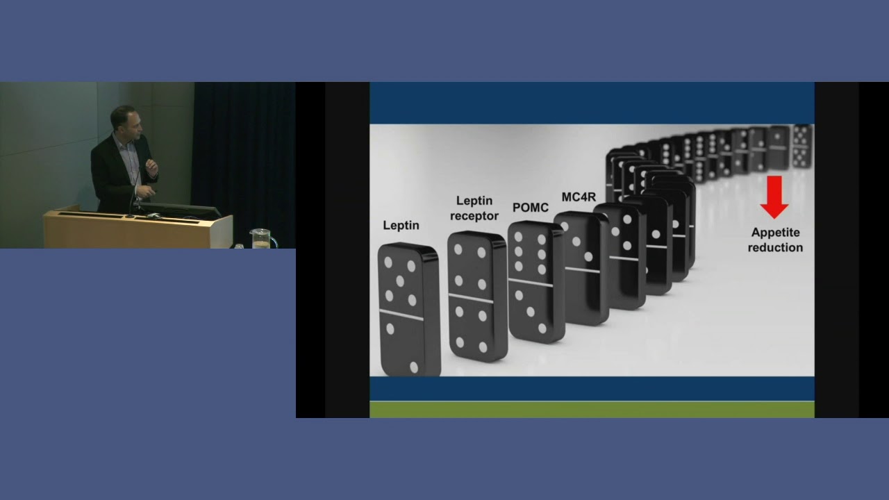 What makes us gain weight: genes vs environment - Prof Jerry Greenfield ...