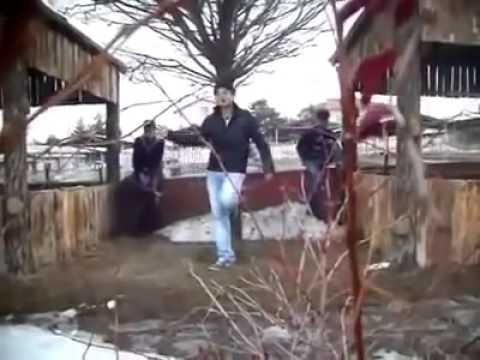 Dilemin şevite...