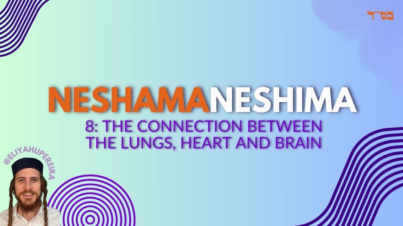 The Connection between the Lungs, Heart and Brain - Jewish Breathwork ...