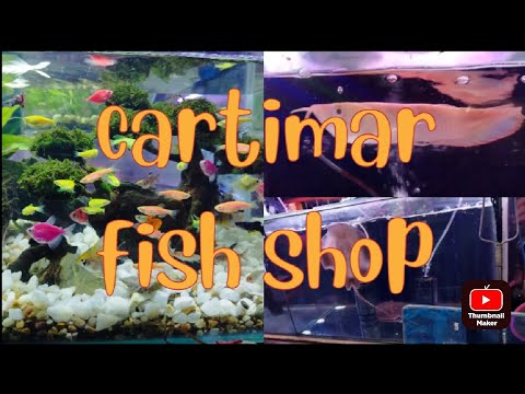 Cartimar fish shop - YouTube