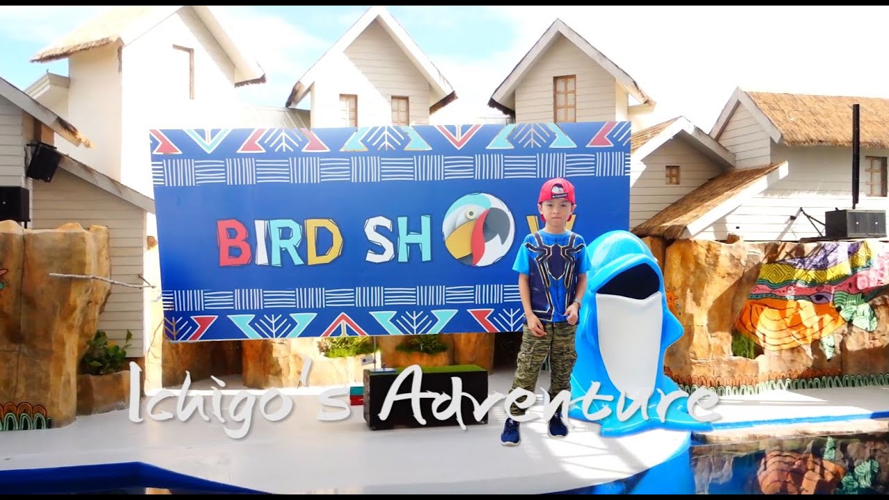 Cebu Ocean Park - THE BIRD SHOW Full Length @ Amphitheater - YouTube