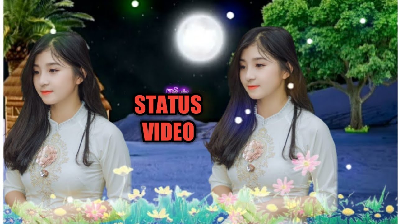 Most beautiful Status video | So amazung video | Technical Sultan - YouTube