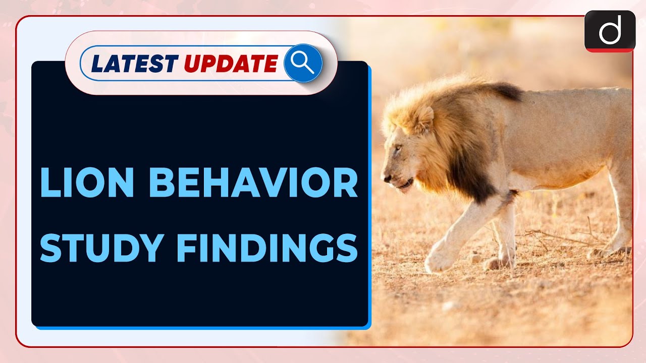 Lion Behavior Study Findings | Latest update | Drishti IAS English ...
