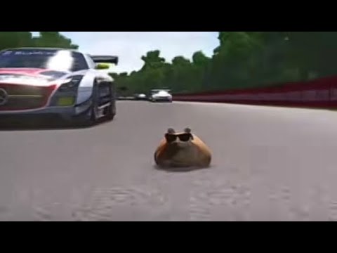 Pablo the Race Cat Groovy, baby. #meow #pablo #cat#catsoftiktok #fyp# ...