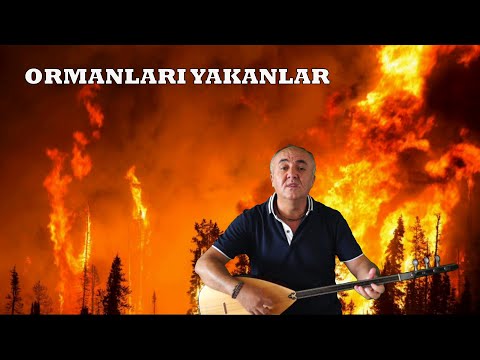 ORMANLARI YAKANLAR