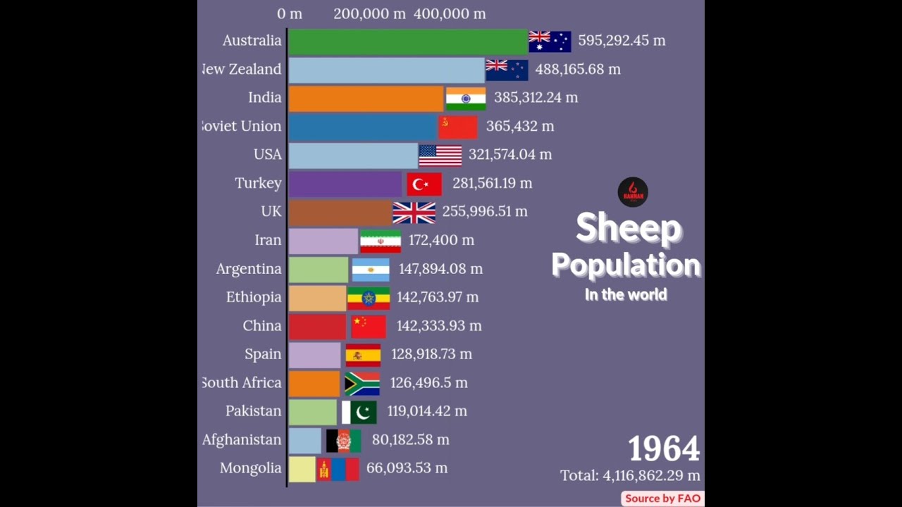Largest Sheep's population in the world. - YouTube