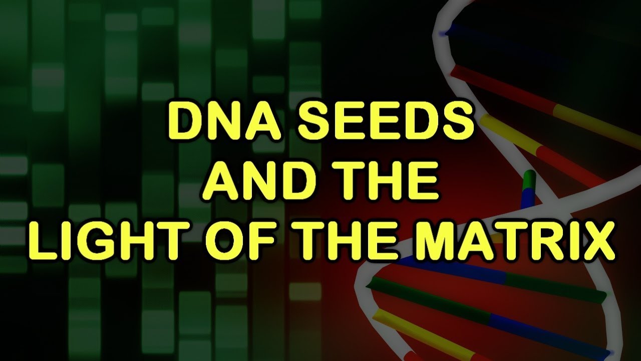 DNA Seeds and the Light of the Matrix - YouTube