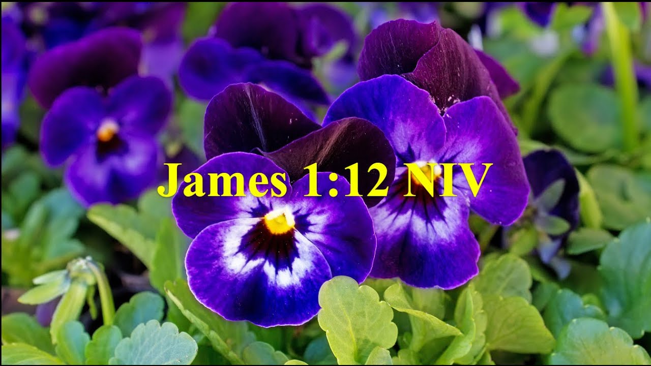 Bible verse 7/11/24 - YouTube