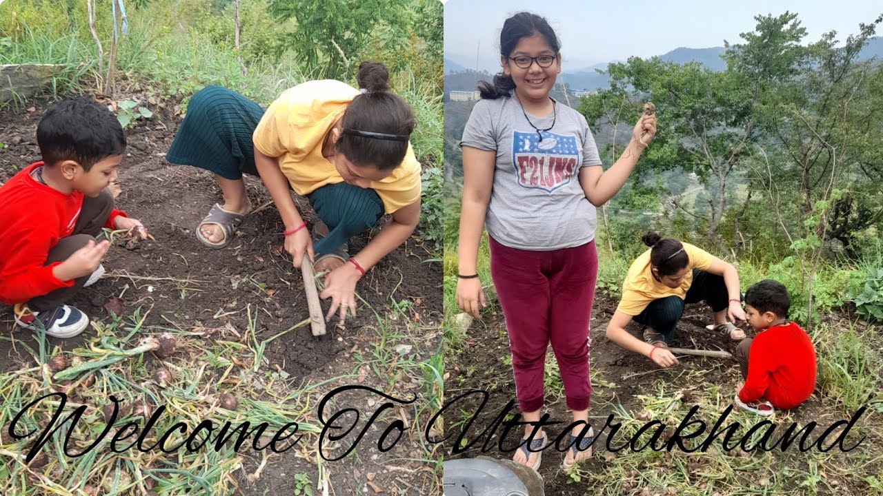 Going To Farm Our Part:-2 //AMISHA RAWAT UK//#uttarakhand #devboomi # ...