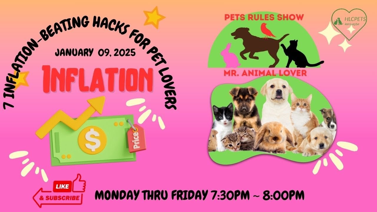 7 Inflation-Beating Hacks for Pet Lovers - YouTube