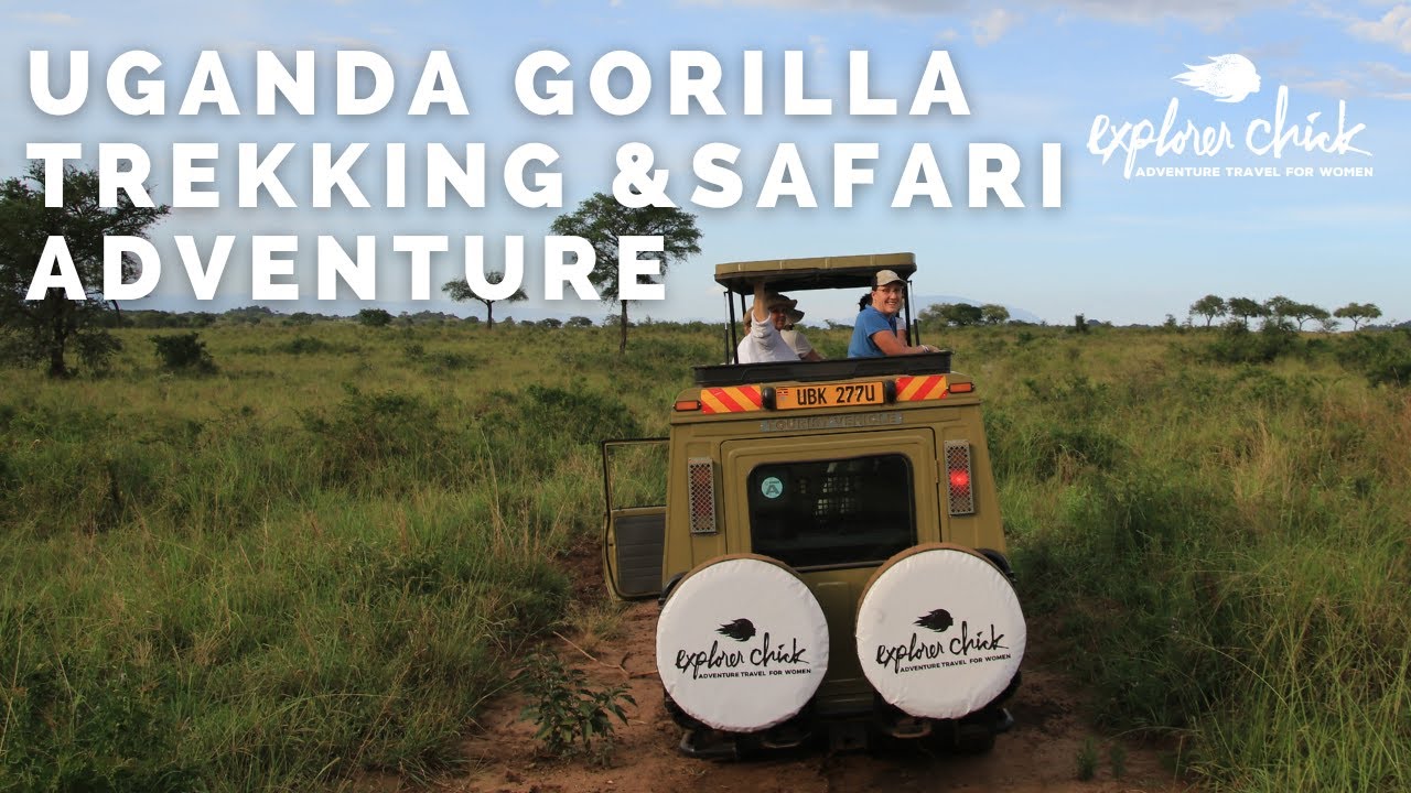 Explorer Chick Uganda Gorilla Trekking And Safari Adventure - YouTube