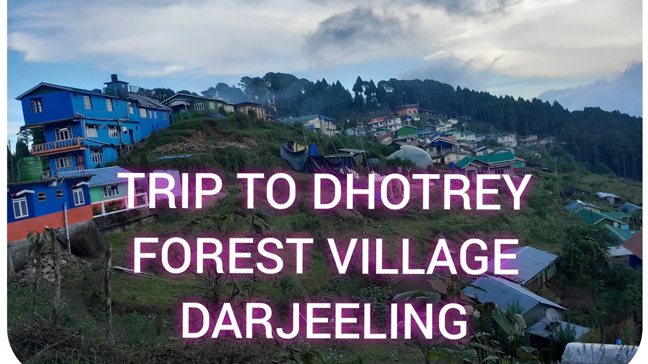 Trip to Dhotrey Forest Village|| Darjeeling, West Bengal||travelling ...
