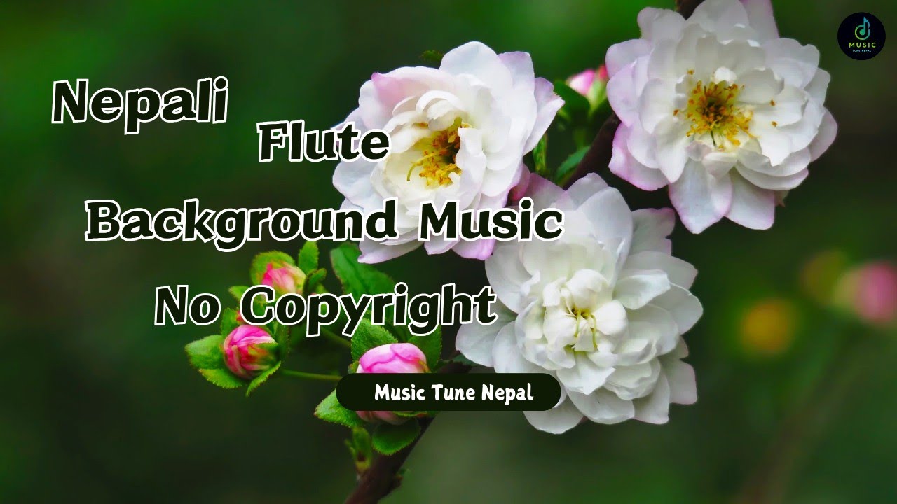 nepali flute music || nepali flute background music no copyright ...