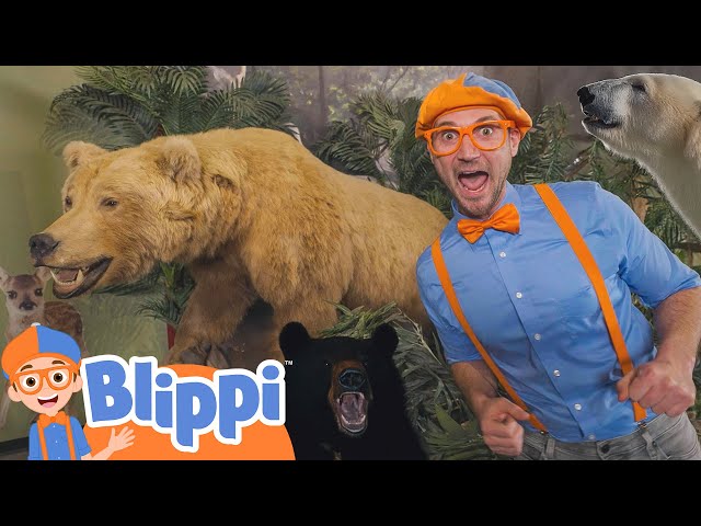 Blippi Learns About Snakes, Bugs, and Bears! | A Day at the Museum ...