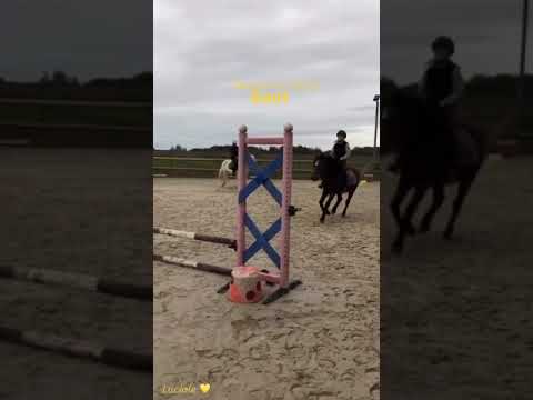 Avk ma luciole 💕 #pourtoi #france #horse #youtubeshorts #pony #cheval # ...