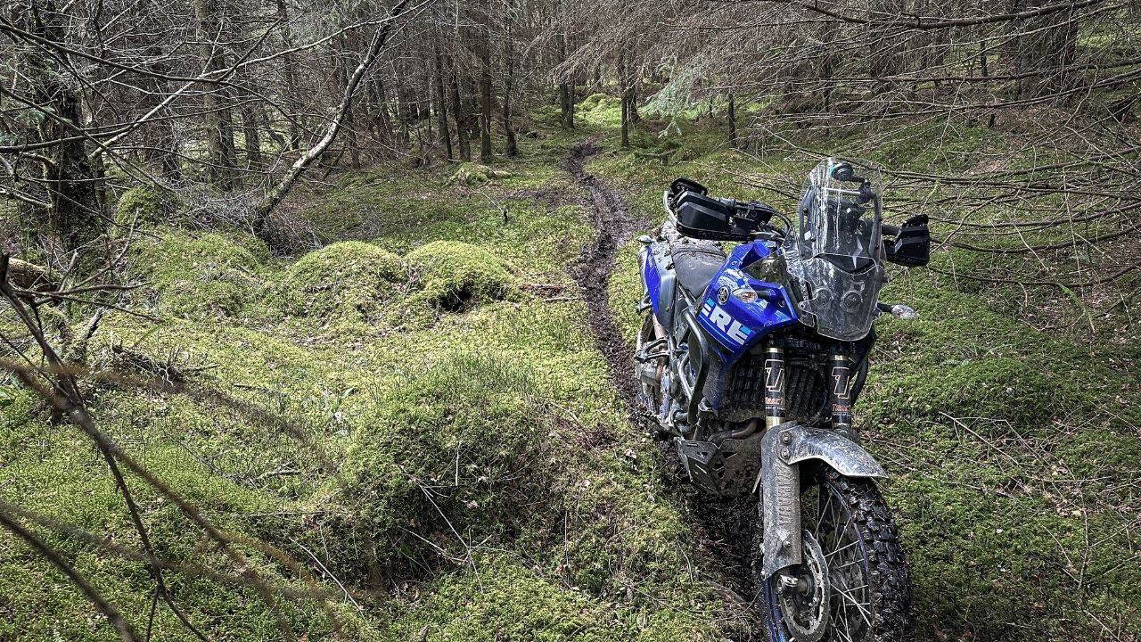 T7 Throttle Therapy & New Trails - YouTube