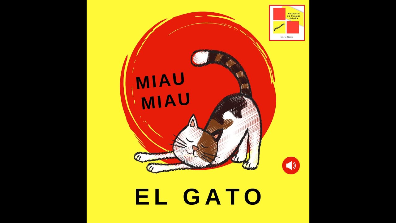 el gato - YouTube