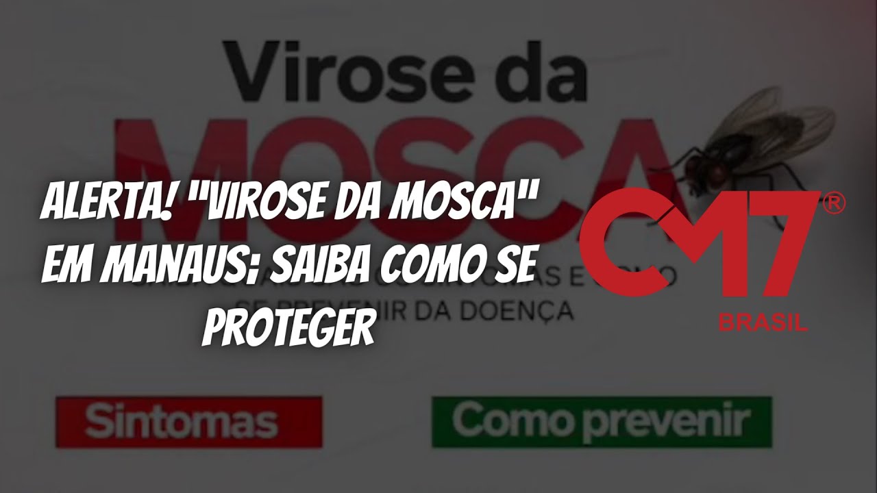 ALERTA! “Virose da Mosca” em Manaus; saiba como se proteger - YouTube
