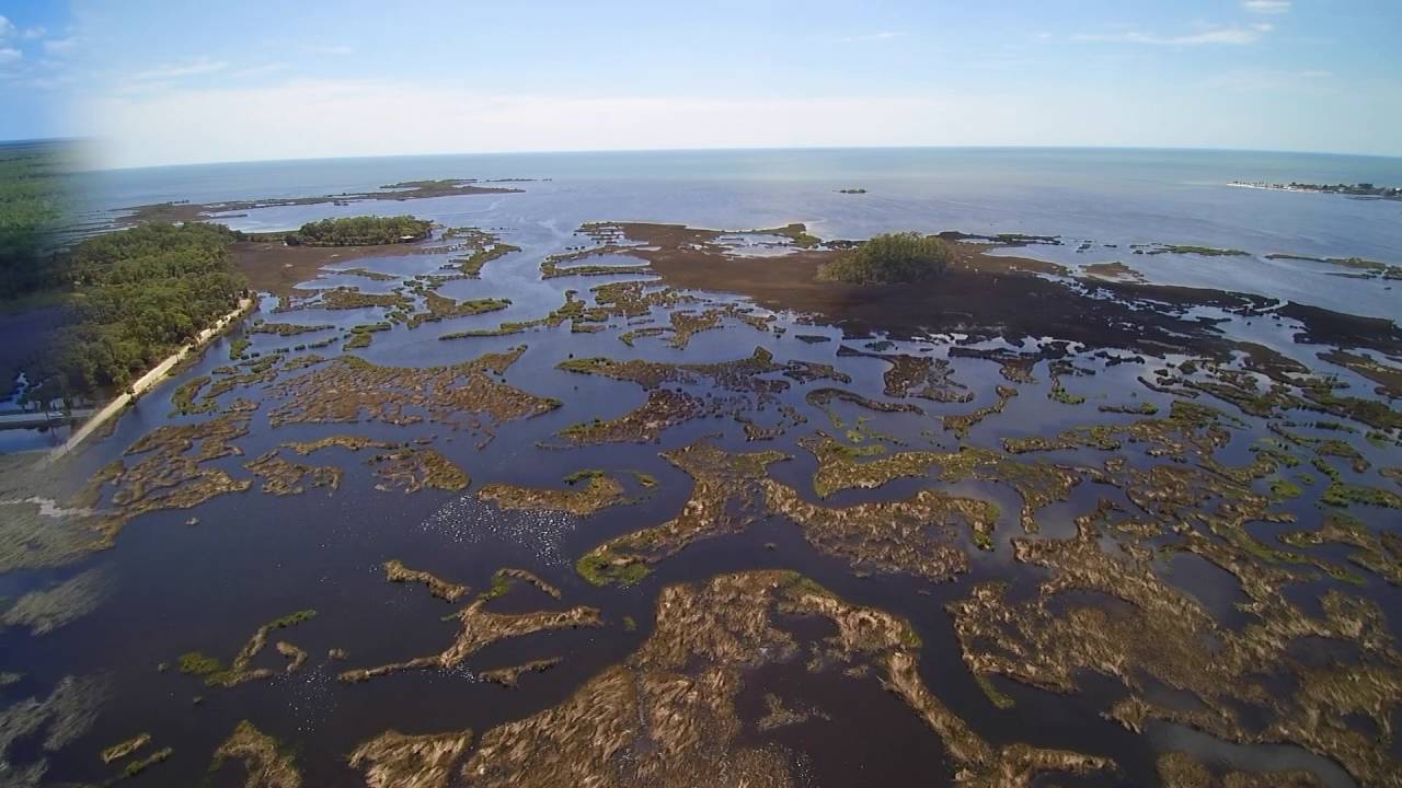 Pine Island Beach & Park From The Sky - YouTube