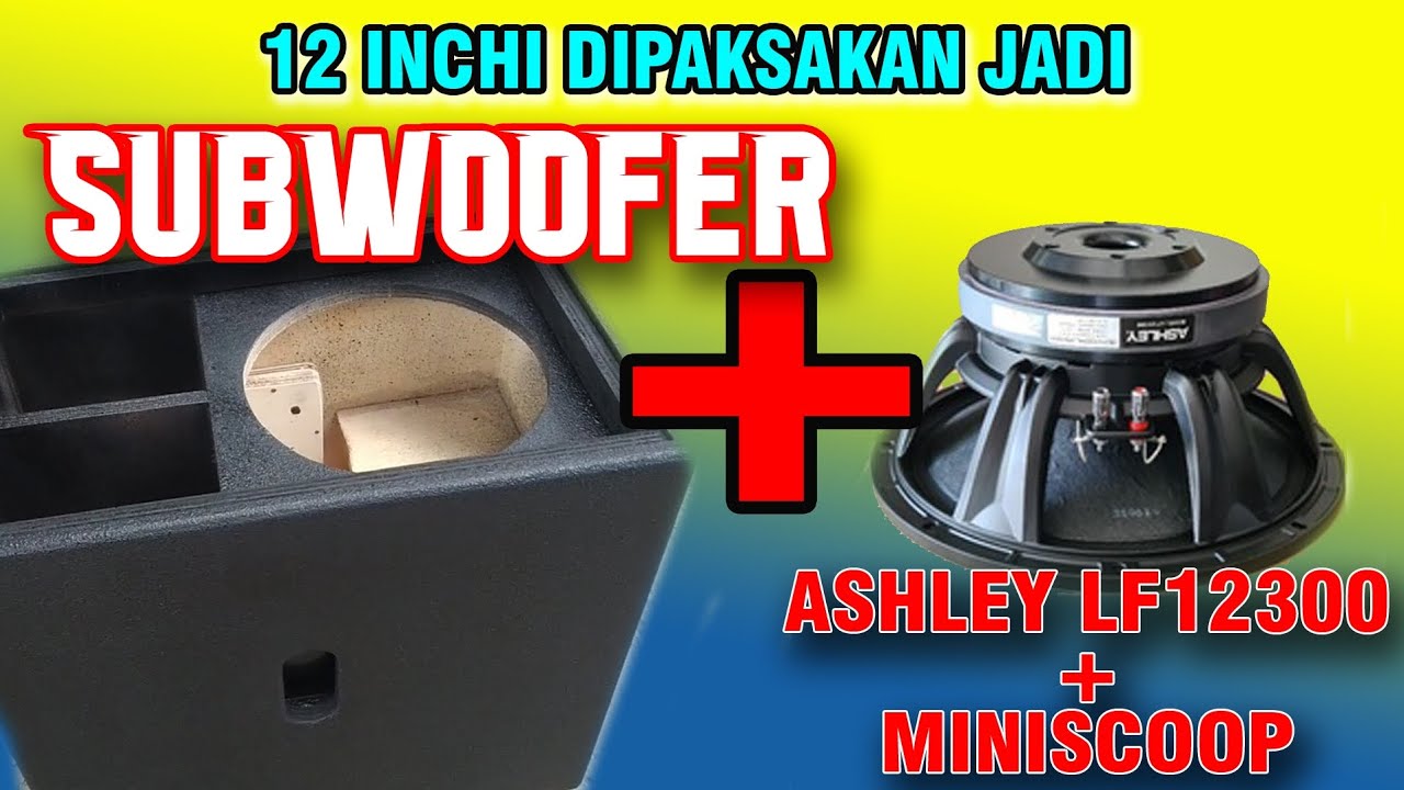 SPEAKER ASHLEY 12" BOX MINI SCOP AUTO HOREG! - YouTube
