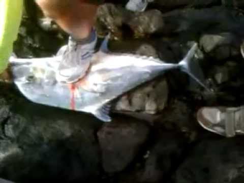 Jakes 15Lbs Kagami Ulua - YouTube