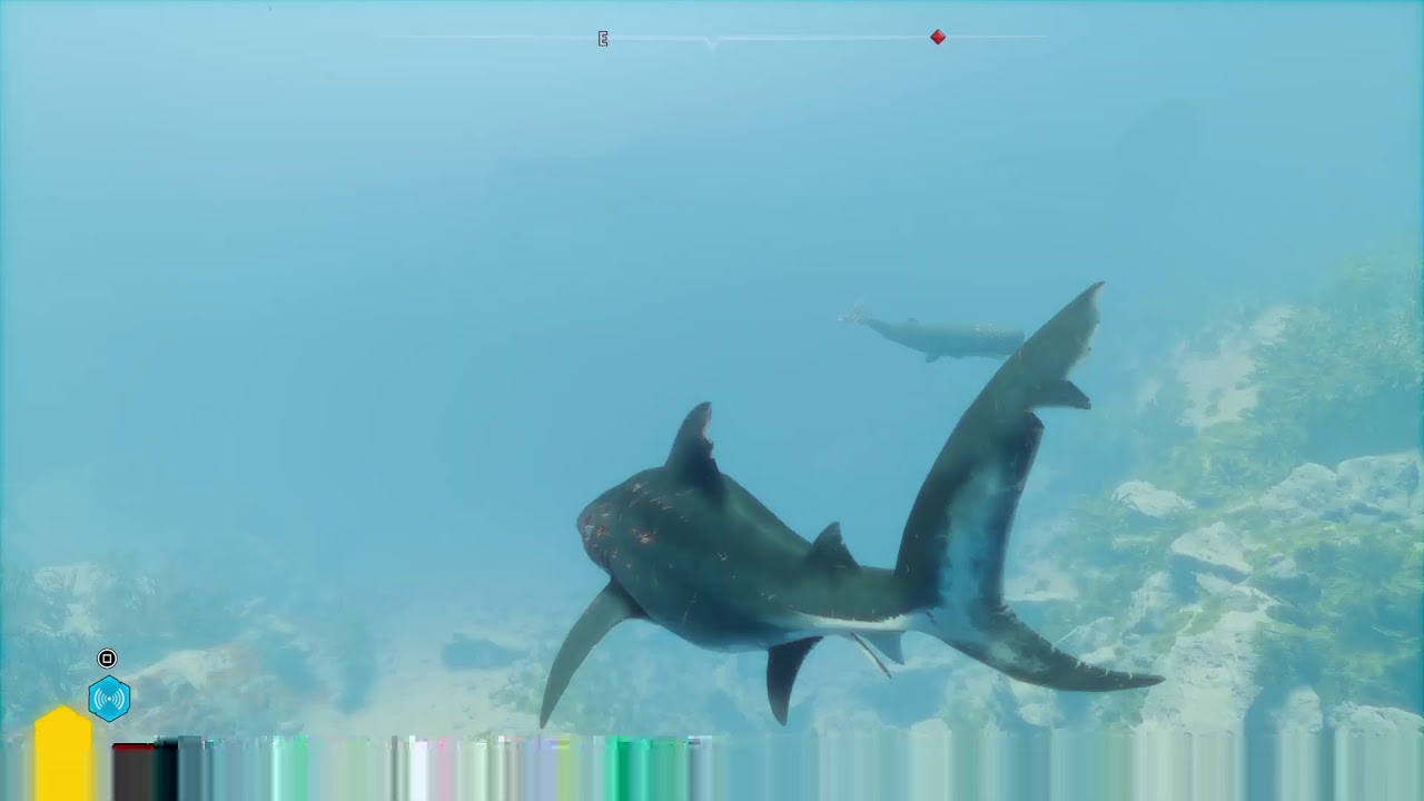MANEATER MEGA SHARK LEVEL 30 Ps4 Pro Gameplay 1080p60fps (PT-BR) - YouTube