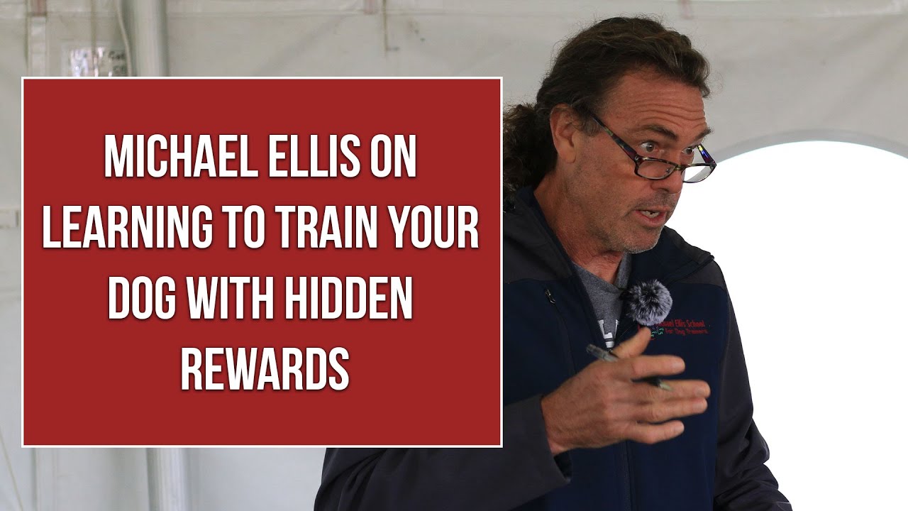 Michael Ellis on Learning to Train Your Dog with Hidden Rewards - YouTube
