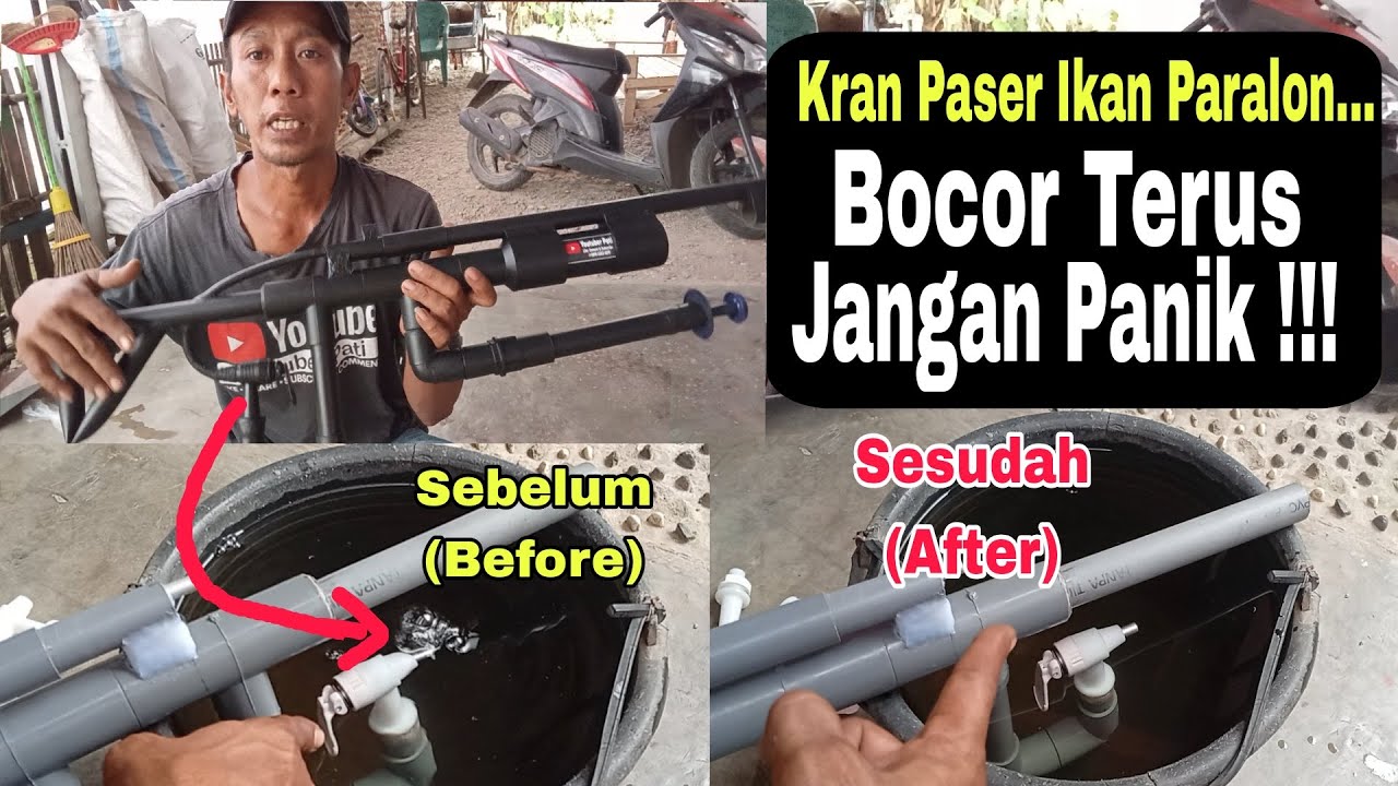Jangan Panik!!! Cara Atasi Kran Paser Ikan Paralon Bocor Terus - YouTube