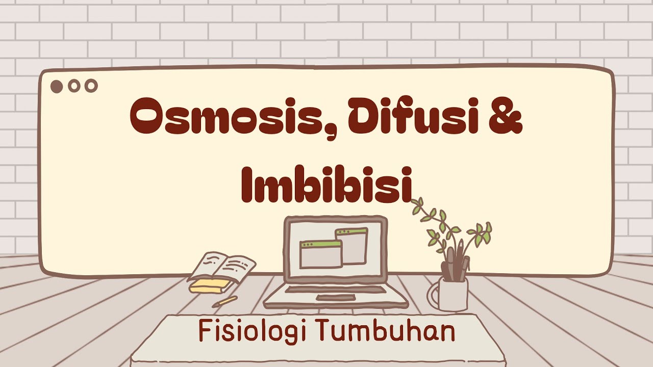 Fisiologi Tumbuhan "Osmosis, Difusi dan Imbibisi" - YouTube