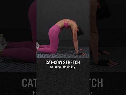 Cat-Cow Flow for Better Posture and Stress Release