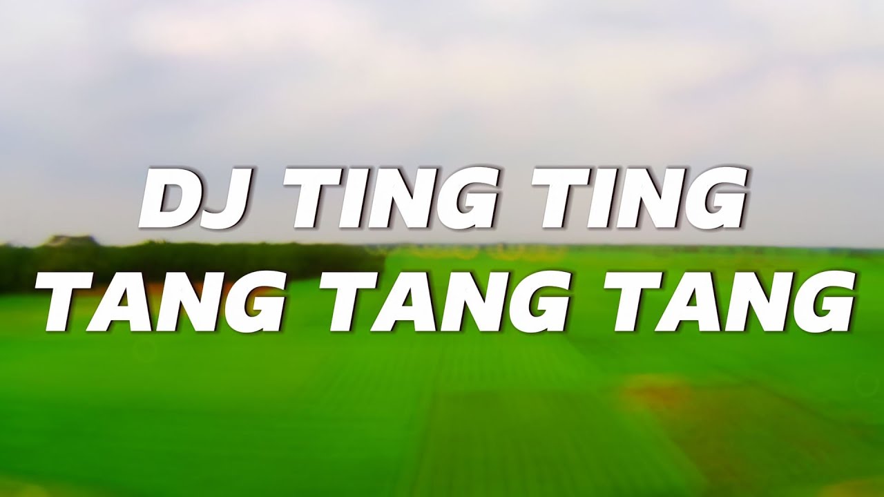 DJ TING TING TANG TANG TANG VIRAL TIKTOK | SEE TINH - YouTube