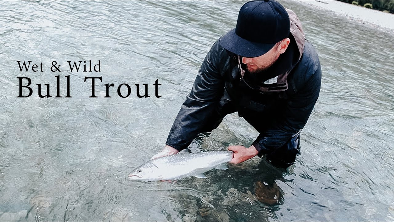 Sea run Bull Trout Fishing | Wet & Wild Fishing Adventure - YouTube