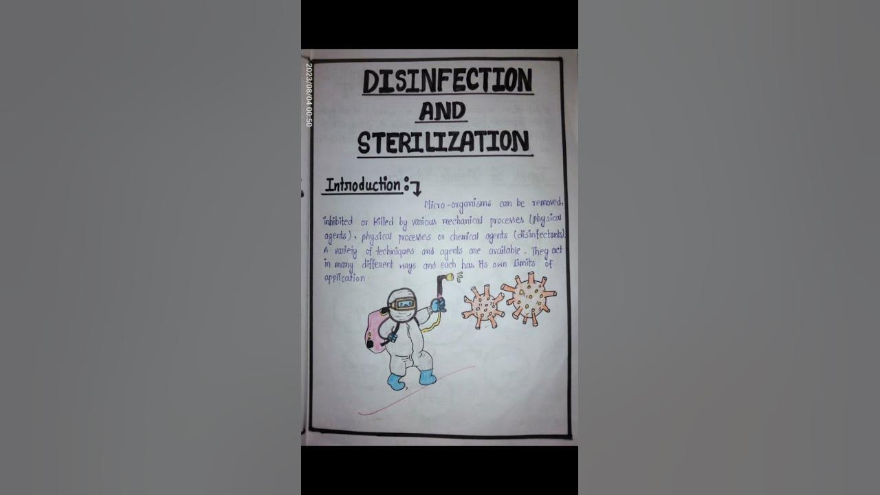 Assignment on Sterilization and Disinfection // Infection Control - YouTube
