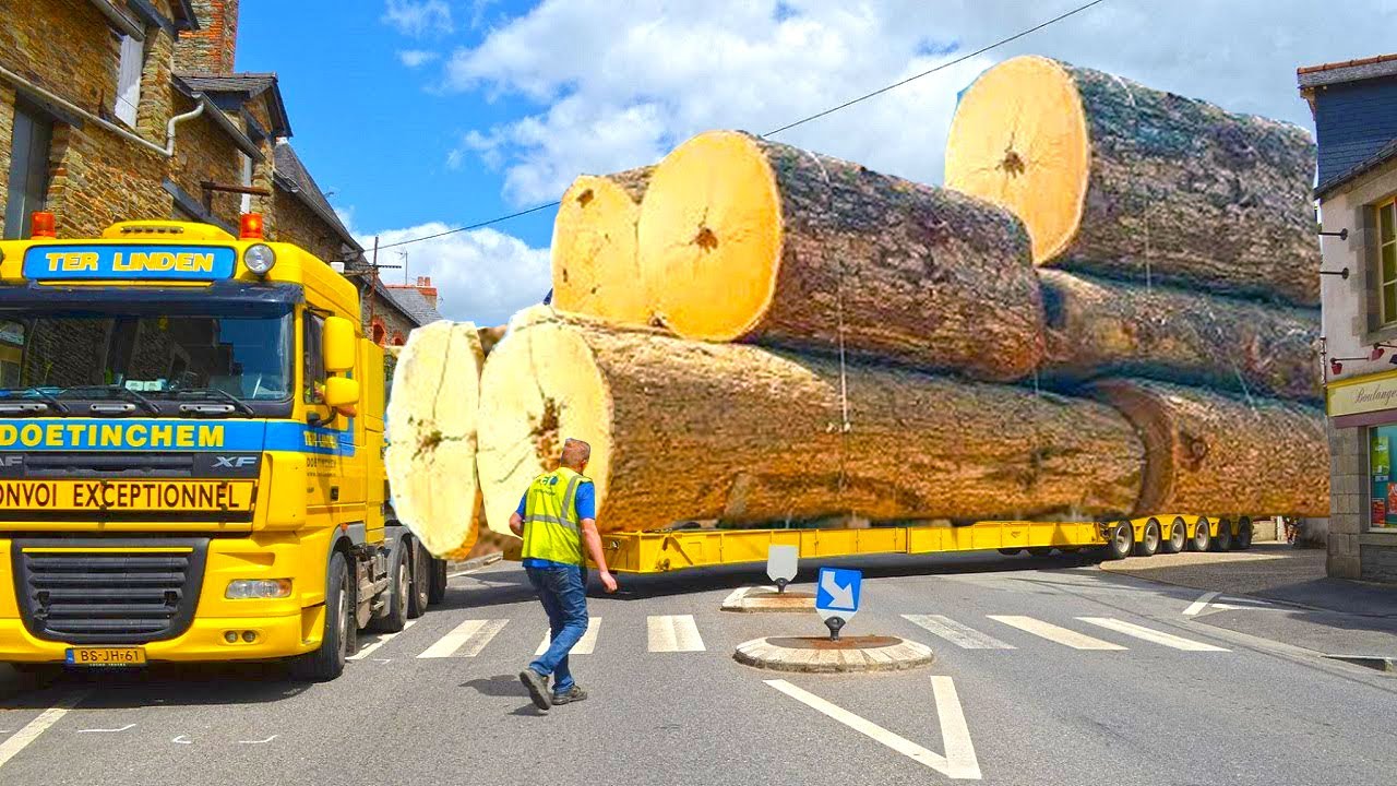 10 Extreme World's Dangerous Logging Heavy Equipment, Loading Cedar ...
