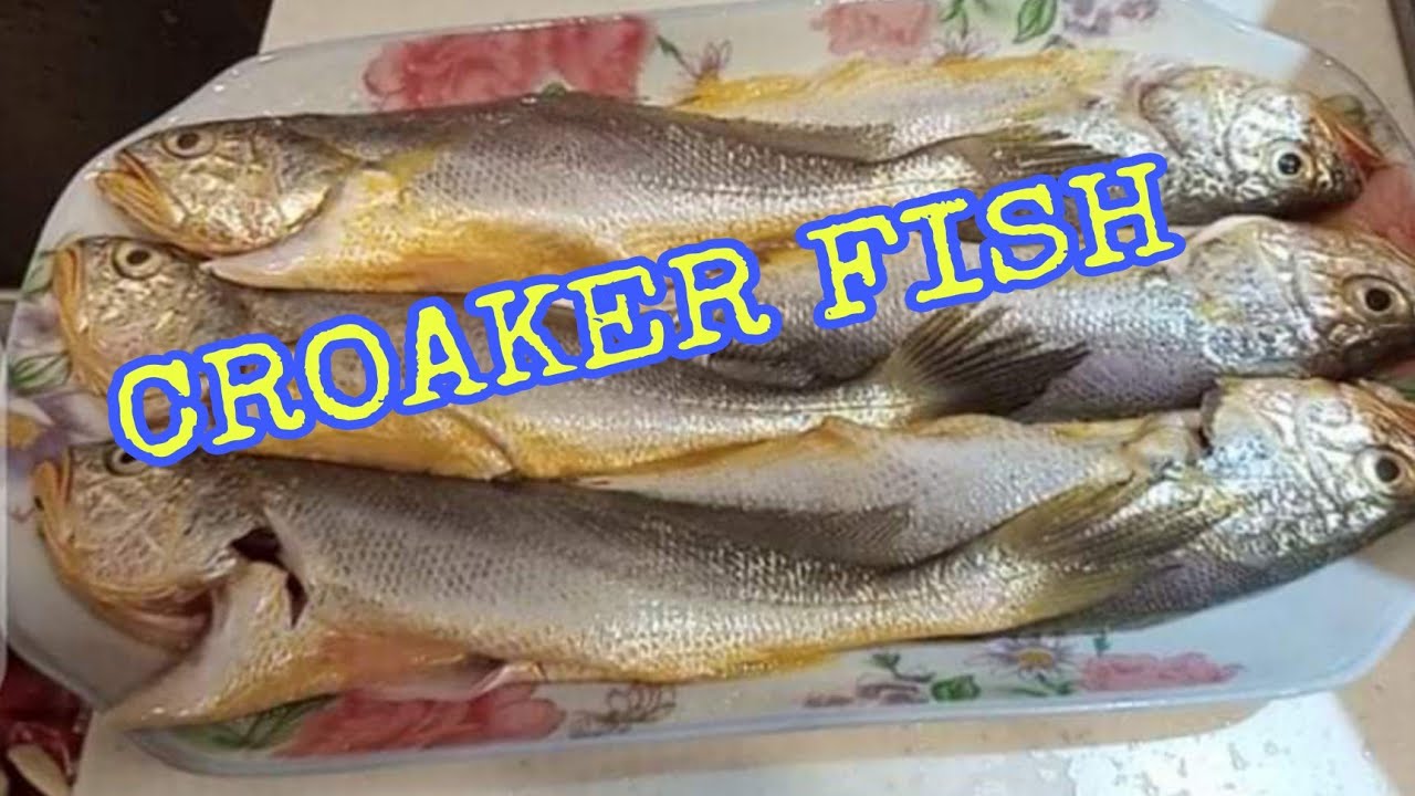 EASY RECIPE: IT'S YELLOW CROAKER FISH WITH ALL PURPOSE SEASONING ...