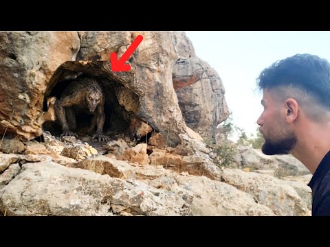 A Mysterious Cave in the Mountains | Mohsen Faces a Strange Creature