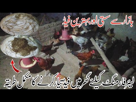 How to made poultary feed at home. Ghr main Feed tyar karny ka mukamil ...