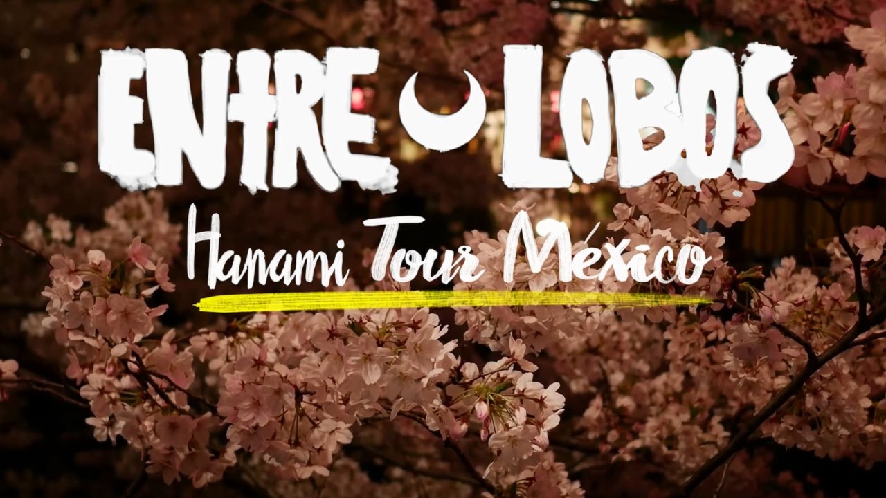 EntreLobos: Hanami Tour México 2015 - YouTube
