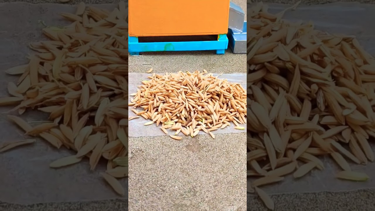 DIY tractor rice mill machine science project DIY tractor | @Kids Farm ...