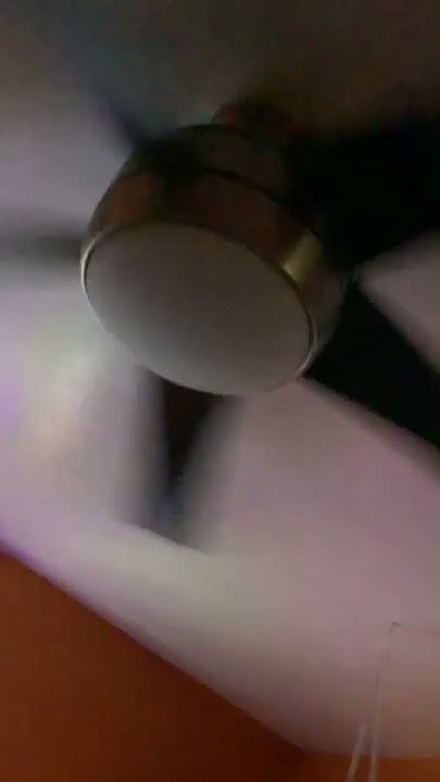 Home Decorators Collection Windward Iv Ceiling Fan Start Up For The