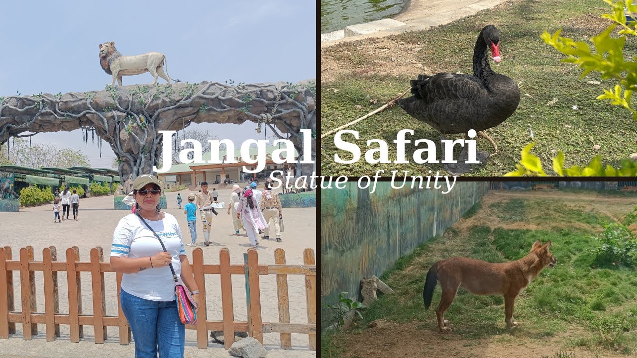 Jungle Safari at Statue of Unity | Kevadia Jungle Safari Park - YouTube