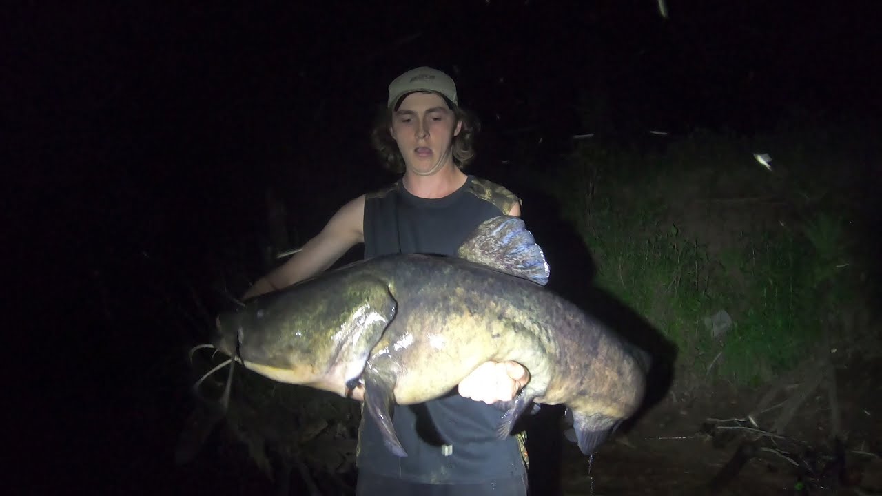Shore Fishing for Big Flathead Catfish in Wisconsin!! - YouTube