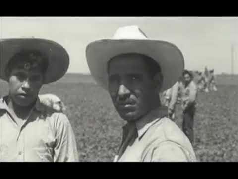 The Bracero Program - YouTube