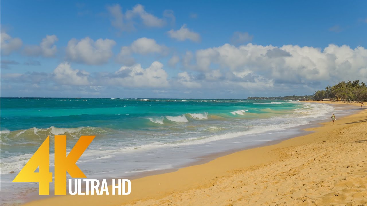 Maui Island, Hawaii - 4K Nature Documentary Film - Part 1 - YouTube