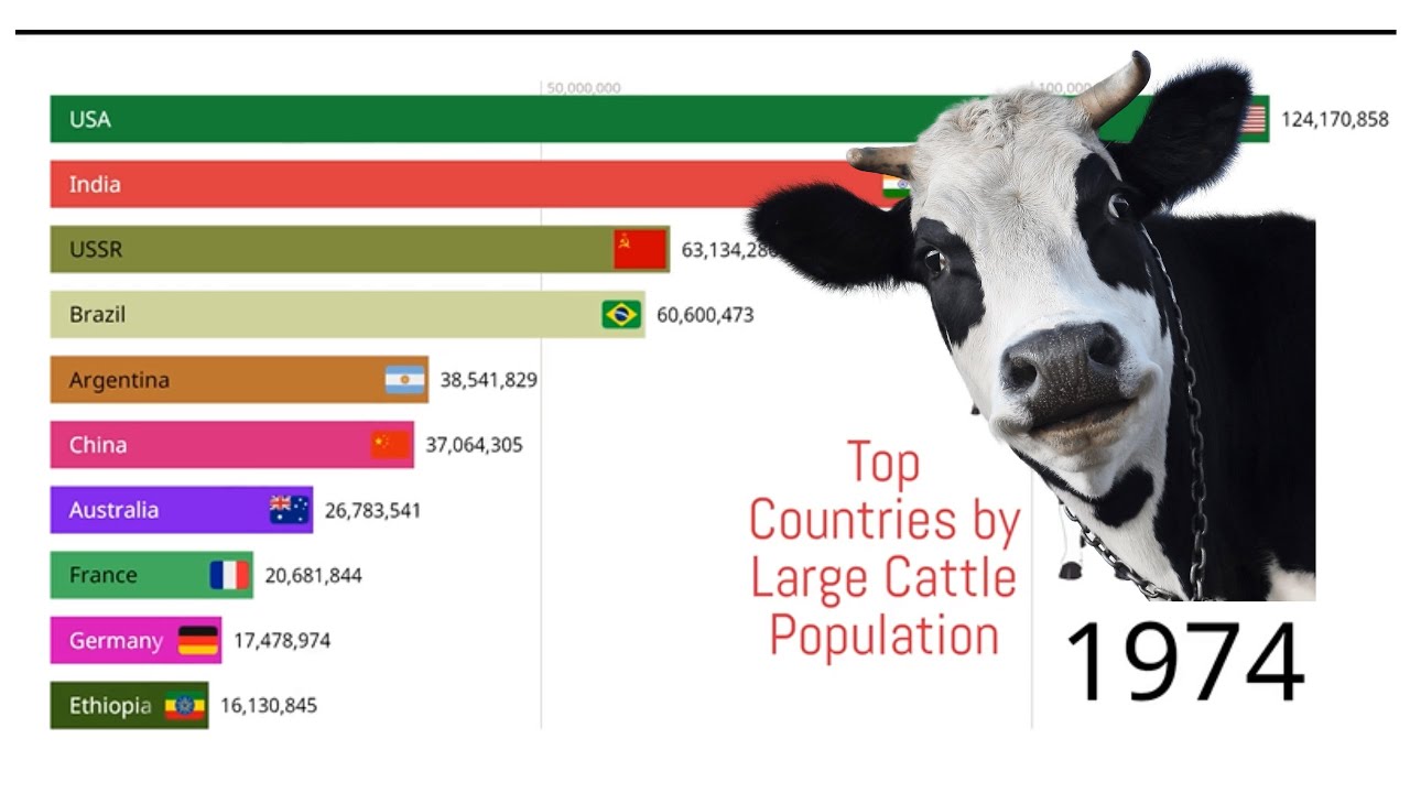 Top 10 Countries in the World by Large Cattle Population from 1963 to ...